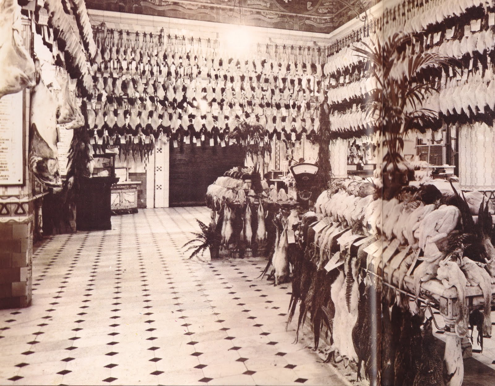 Lucindaville: Old Harrods