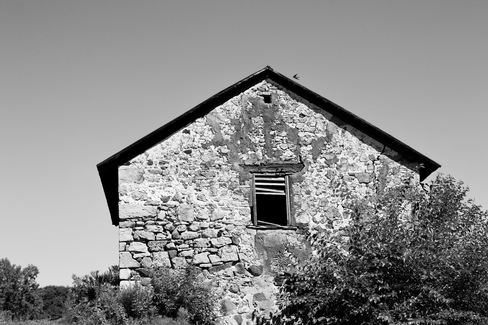 The Ched Curtain: Matz Farmstead Ruins
