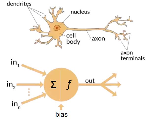 What is Neural Network ? | Introduction to Neural Network | Python ...