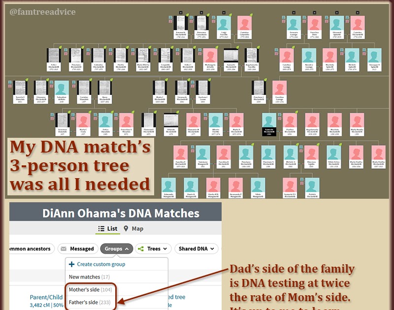 Fortify Your Family Tree: How to Find Value in Your Distant DNA Matches