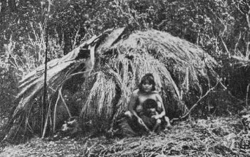 Entorno Social: Chonos