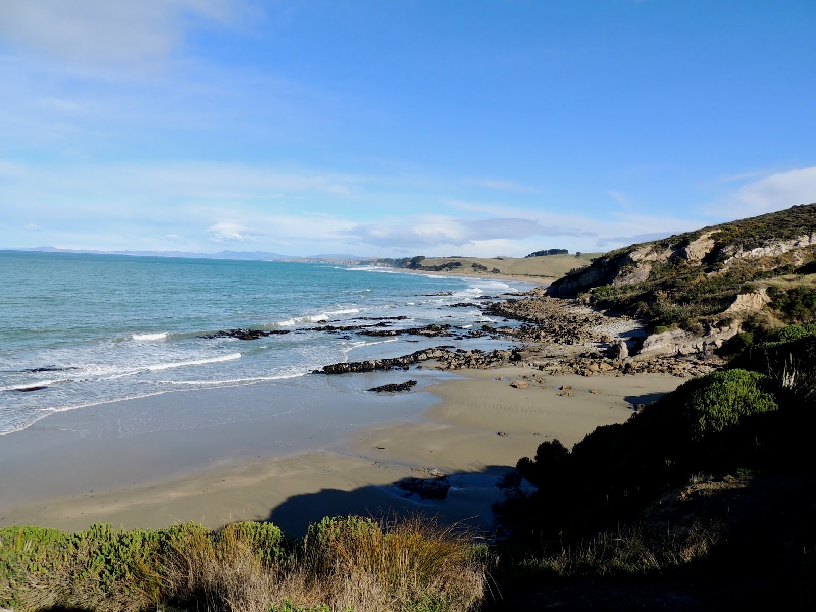 THE ROAD TAKEN : A Walk at Shag Point