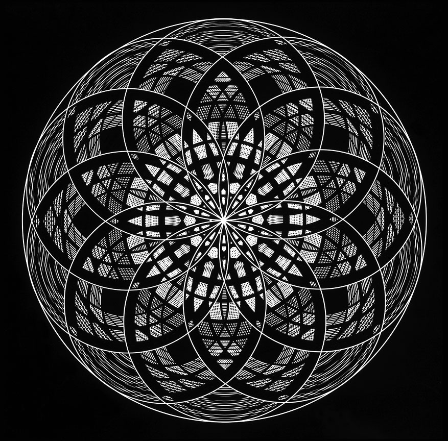 An Introspective Journal: The True Nature of Dark Energy (and Our Universe)