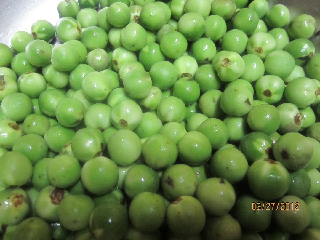 Hema's Cuisine: Sundakkai Curry ( Turkey Berry Curry )