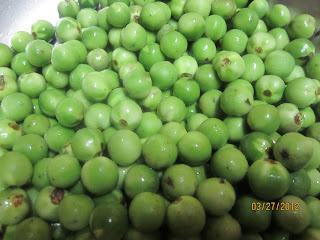 Hema's Cuisine: Sundakkai Curry ( Turkey Berry Curry )