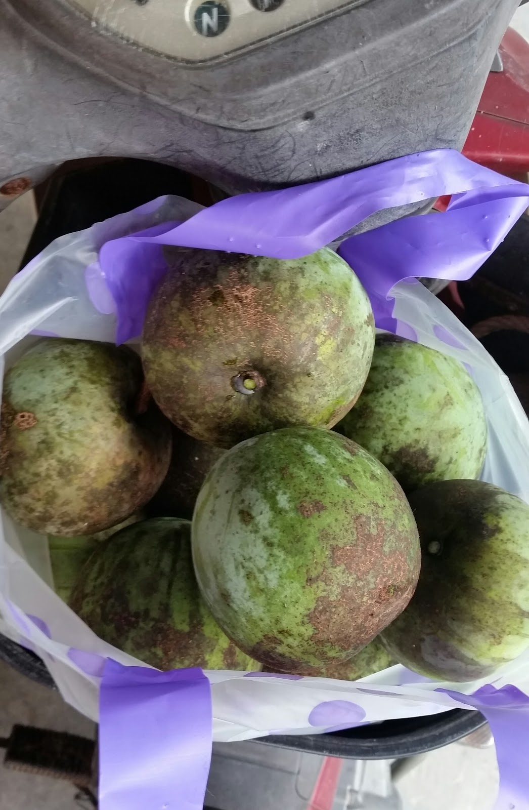 Warisan Petani: MB 44 : Buah Pelam Epal