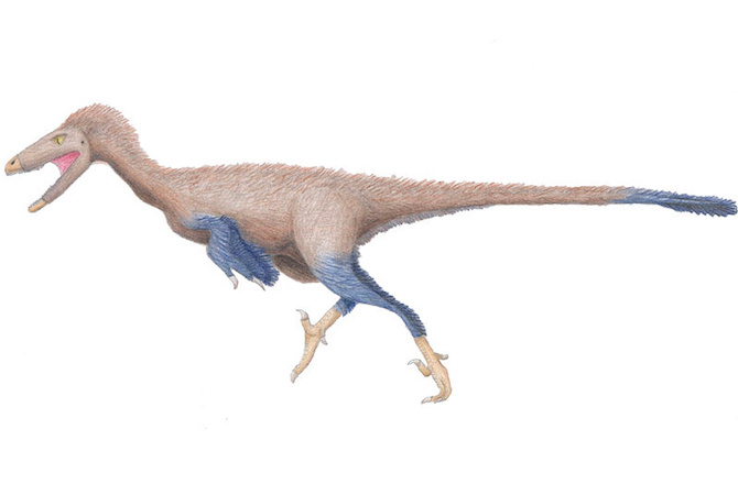 Dinosaurs : The Stories of February. Top 10 Fastest Dinosaurs