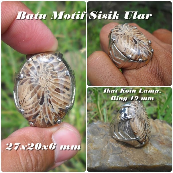 Lapak Batu Antik ( LBA ): AK205- SOLD- Batu Akik Motif Sisik Ular ...