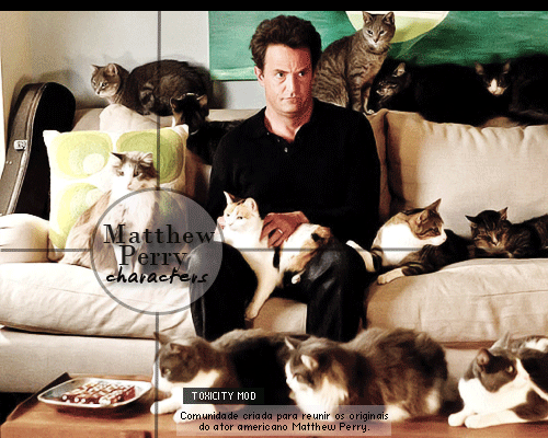 Comunidades - Matthew Perry, characters®