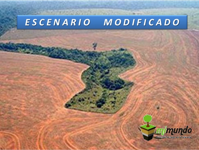 DESARROLLO SUSTENTABLE: unidad 5 el escenario modificado.