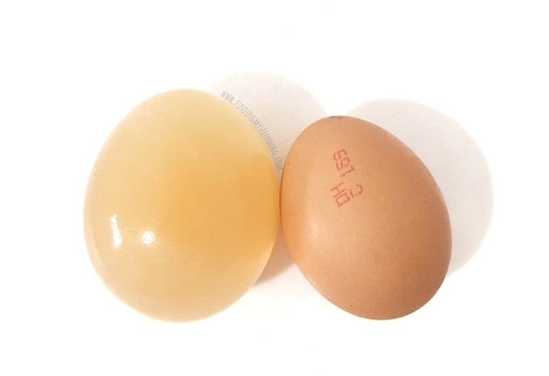 How to make a Bouncy Egg | Finding Myself Young