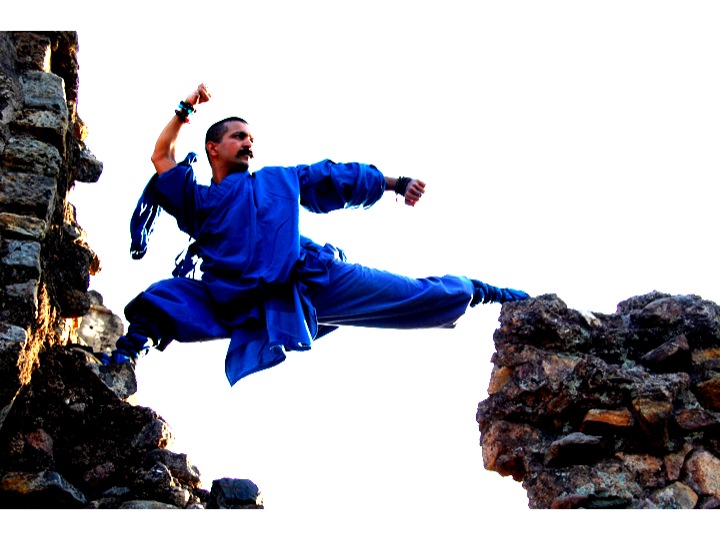 SHIFUJI'S INDIAN & SHAOLIN FUSION KUNG-FU: SHIFUJI SHIFU JI ...