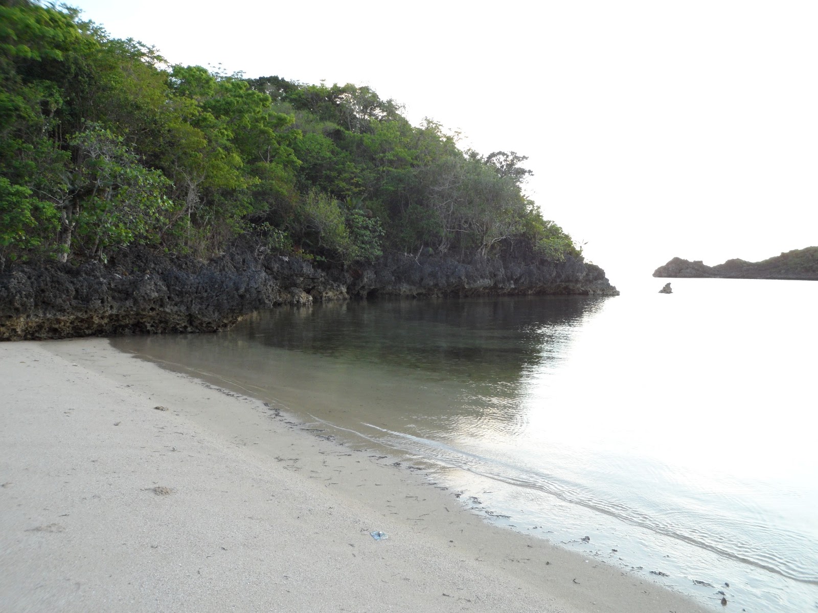 RD Traveller: TINMR Escapade (Taklong Island National Marine Reserve)