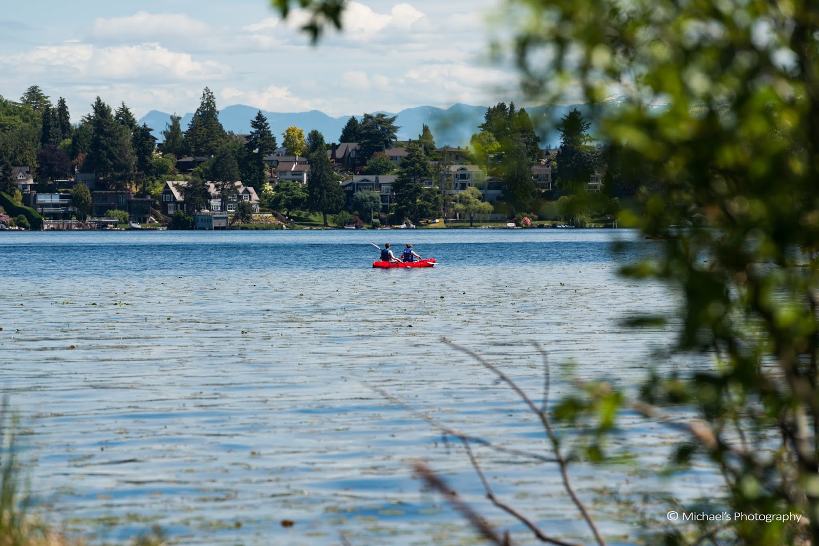 Beauty of Northwest Wilderness: Marsh Island, Seattle