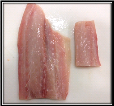 F.Y.I.: Amberjack from South Carolina