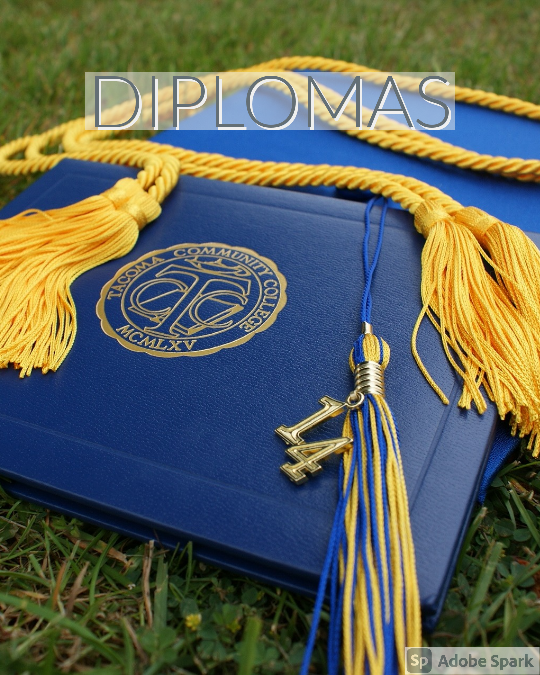 Diplomas | MATERIAL DIDÁCTICO PRIMARIA