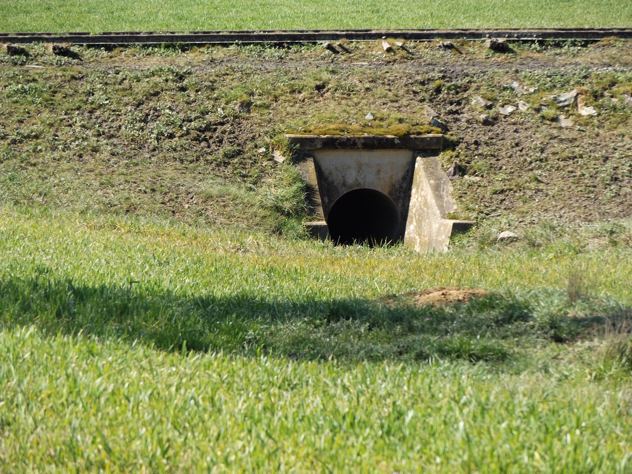 Building Wagga: A visit to Humula