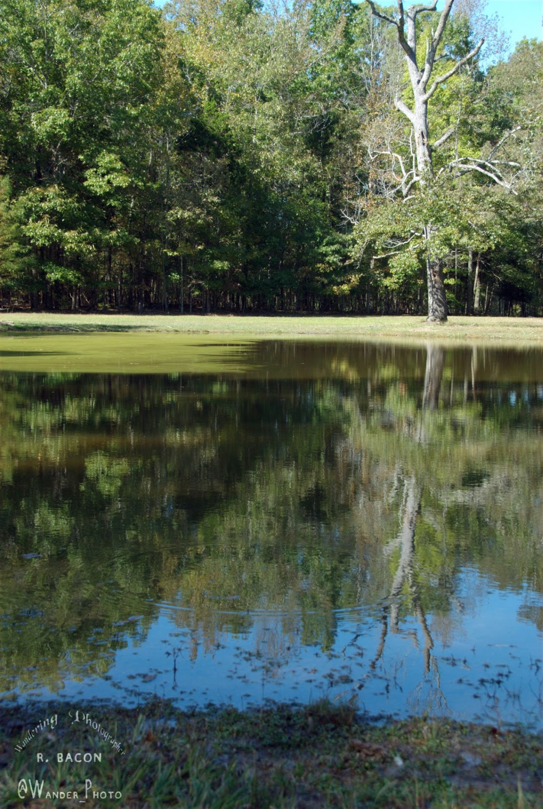 Wander Photo: Shiloh: Battles, Indians, and Monuments to Death