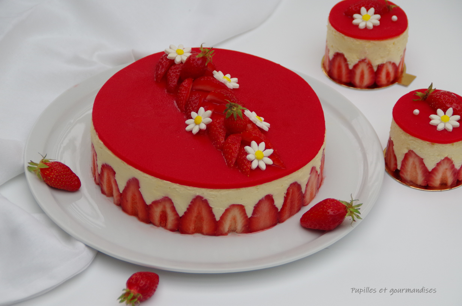 Fraisier (1)