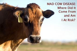 .: MAD COW DISEASE!