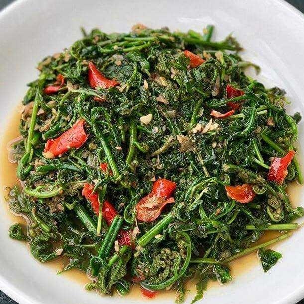 Resep Cara Membuat Tumis Sayur Pakis Yang Lezat - RESEP KOKI MEDAN