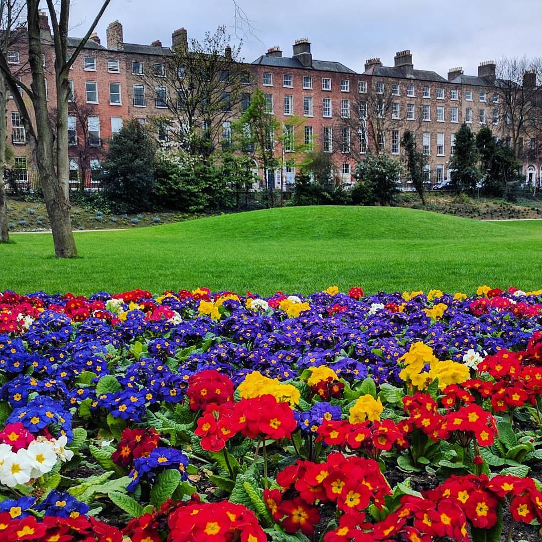 106 Pictures of Dublin That Will Make You Feel Like You're There