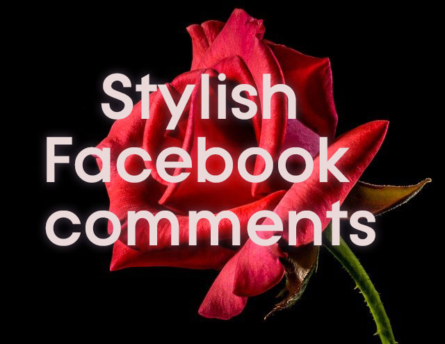 Fb Comment Photo In English