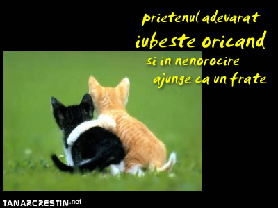 L@ur@: Despre prietenie!