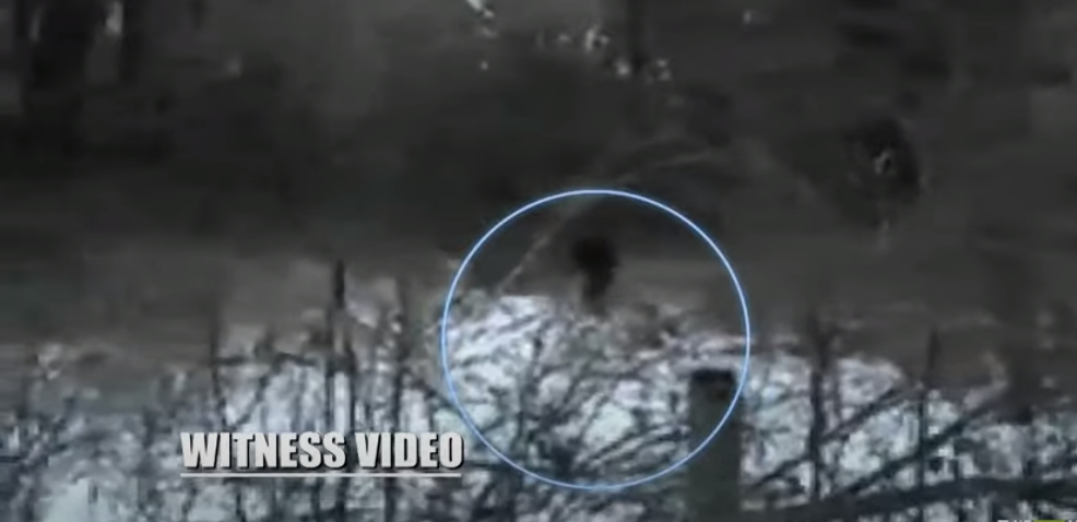 RMSO Bigfoot: Animal Planet The Best Bigfootage Video Family Affair