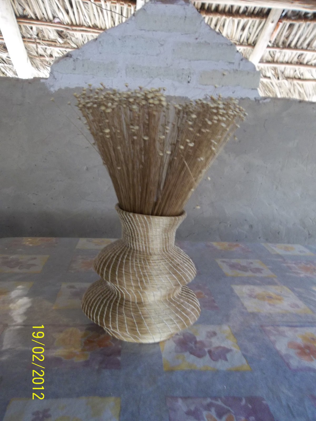 Trilhas do Capim Dourado: SUSTENTABILIDADE NA MUMBUCA