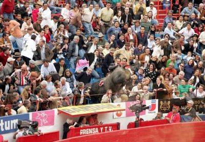 Memorias Celestes: CRUZANDO EL AIRE