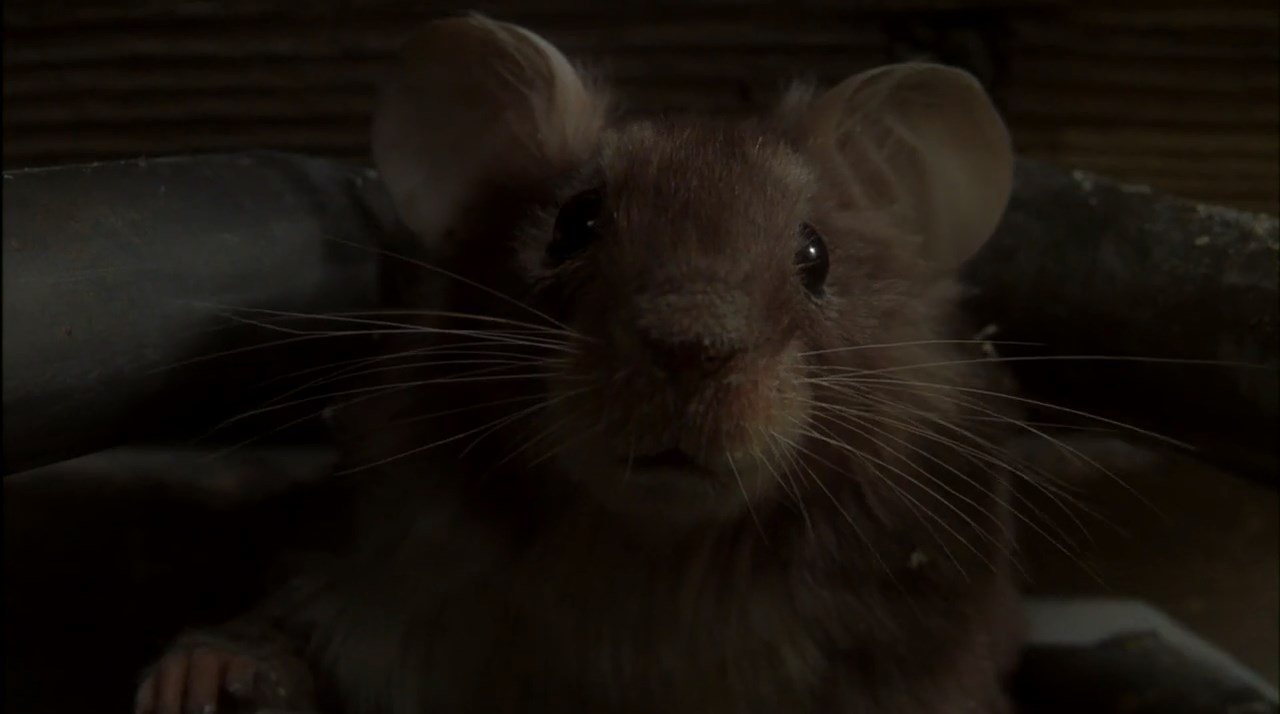 BliZZarraDas: Mousehunt (1997)