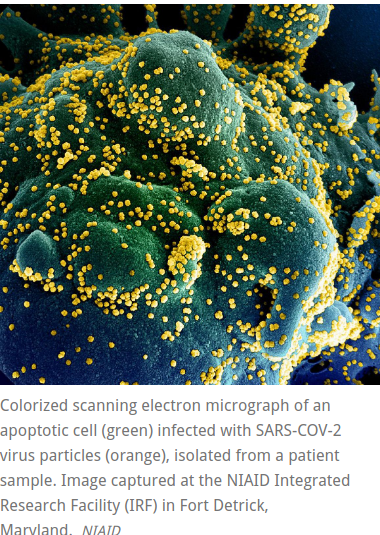 Avian Flu Diary: CDC: Emerging SARS-CoV-2 Variants Avian Flu Diary: CDC: Emerging SARS-CoV-2 Variants