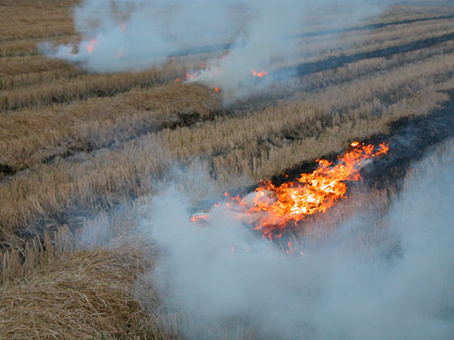 Directo y sin Rodeos: La Quema de residuos agrícolas produce daños a la ...
