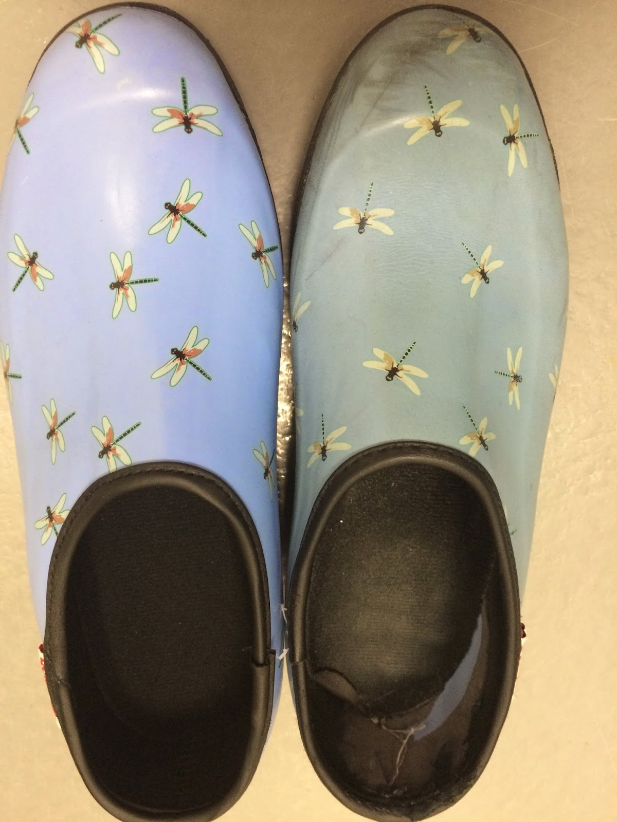 GeoKate in the Bay State: The Lab Shoe Reminder