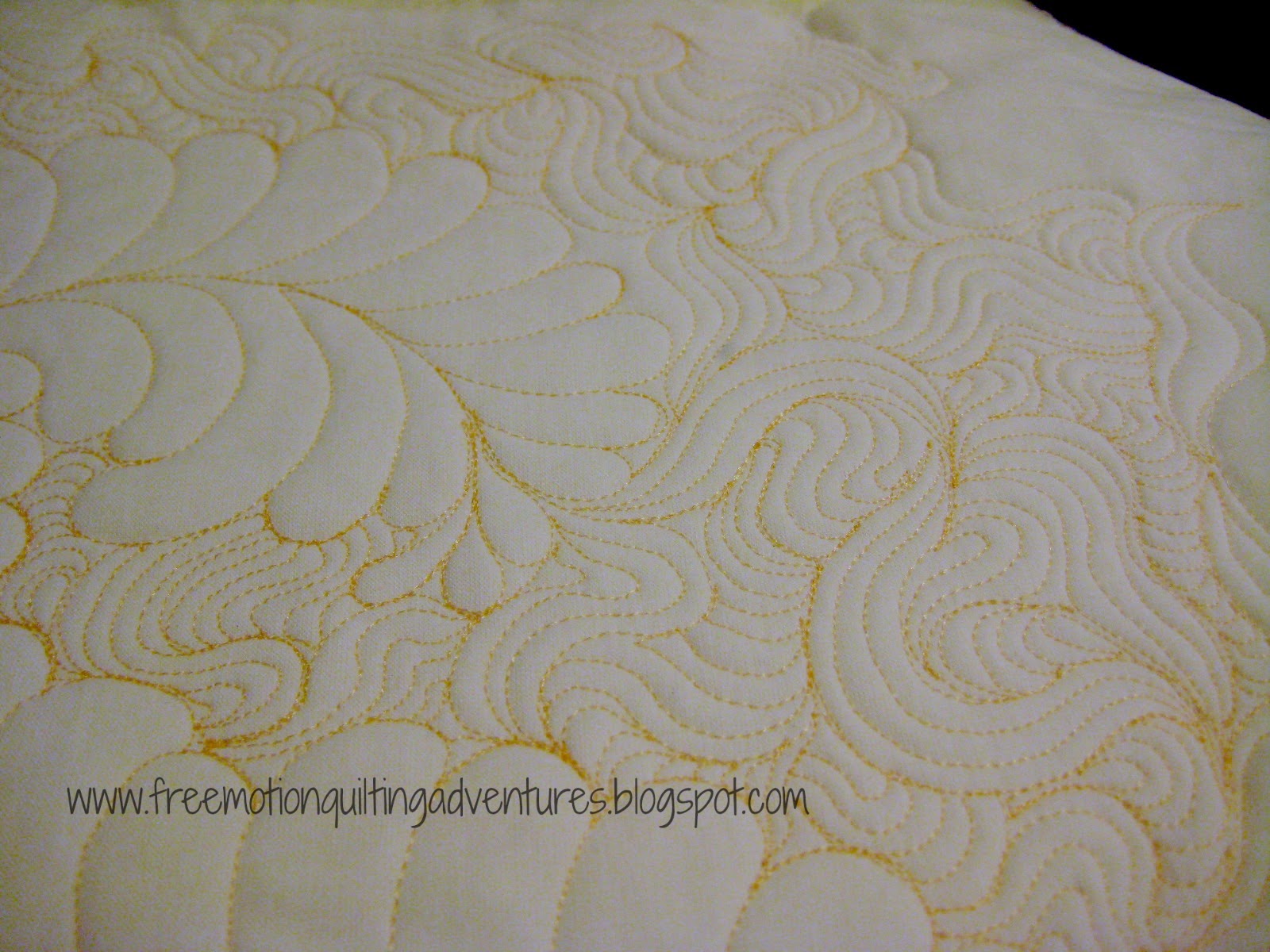 Amy's Free Motion Quilting Adventures: March 2014