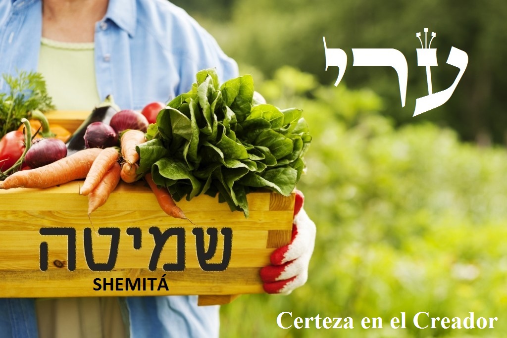 Kabbalah y Torah en Expansión : CON RELACIÓN A LA SHEMITÁ (EL AÑO SABÁTICO)