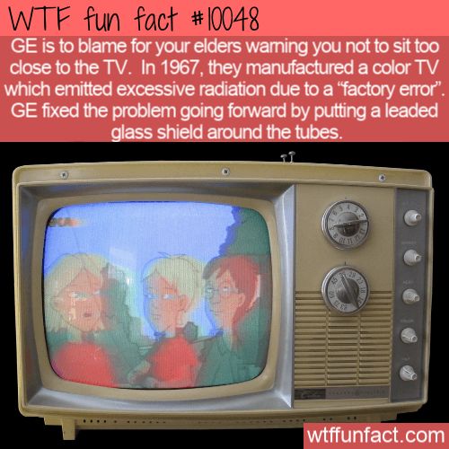 60 Crazy Facts To Truly Blow Your Mind! | Amazing WTF Facts