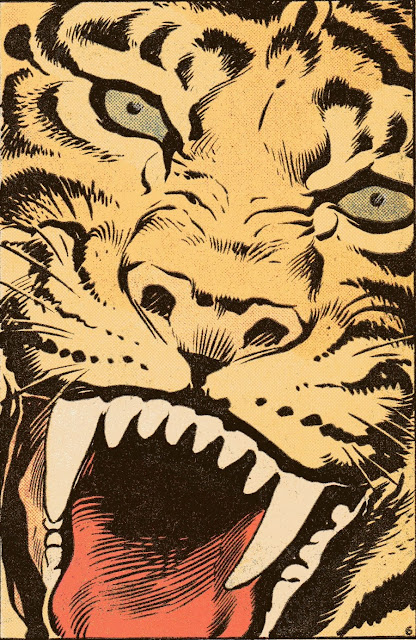 Slay, Monstrobot of the Deep!!: Friday Night Fights--A Tiger?!? In ...