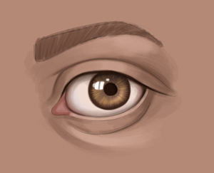 Jeff Searle: Drawing the eye