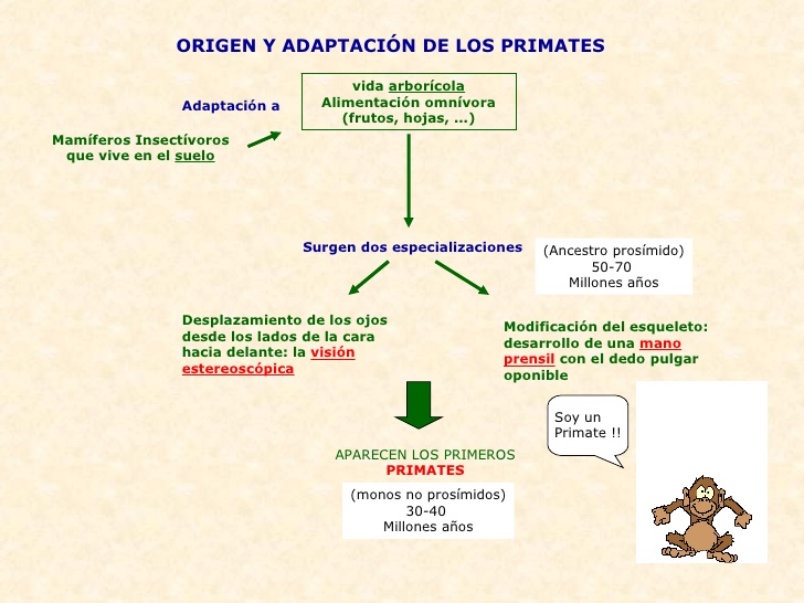 Blog de Cultura Científica: EVOLUCIÓN