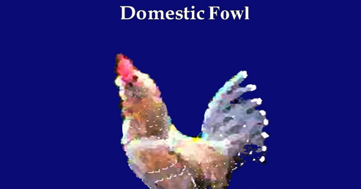 BReeder: Press Release: An Introduction to Form and Feathering of the ...