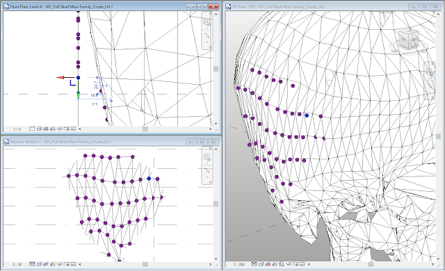 Revit Recess: The Revit Human Skull