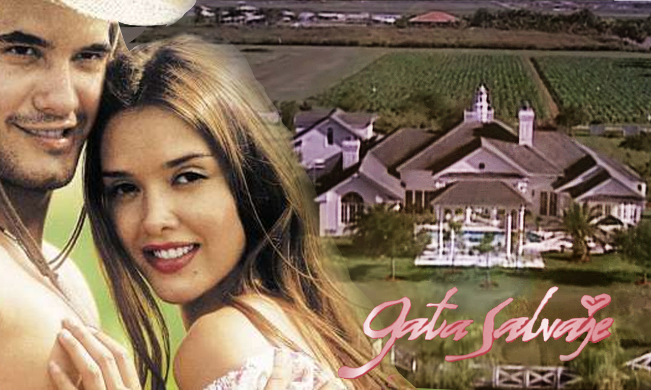 Gata Salvaje