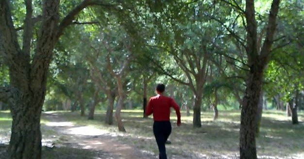 BBQ Stakes 6km Hilly XC 25 minutes