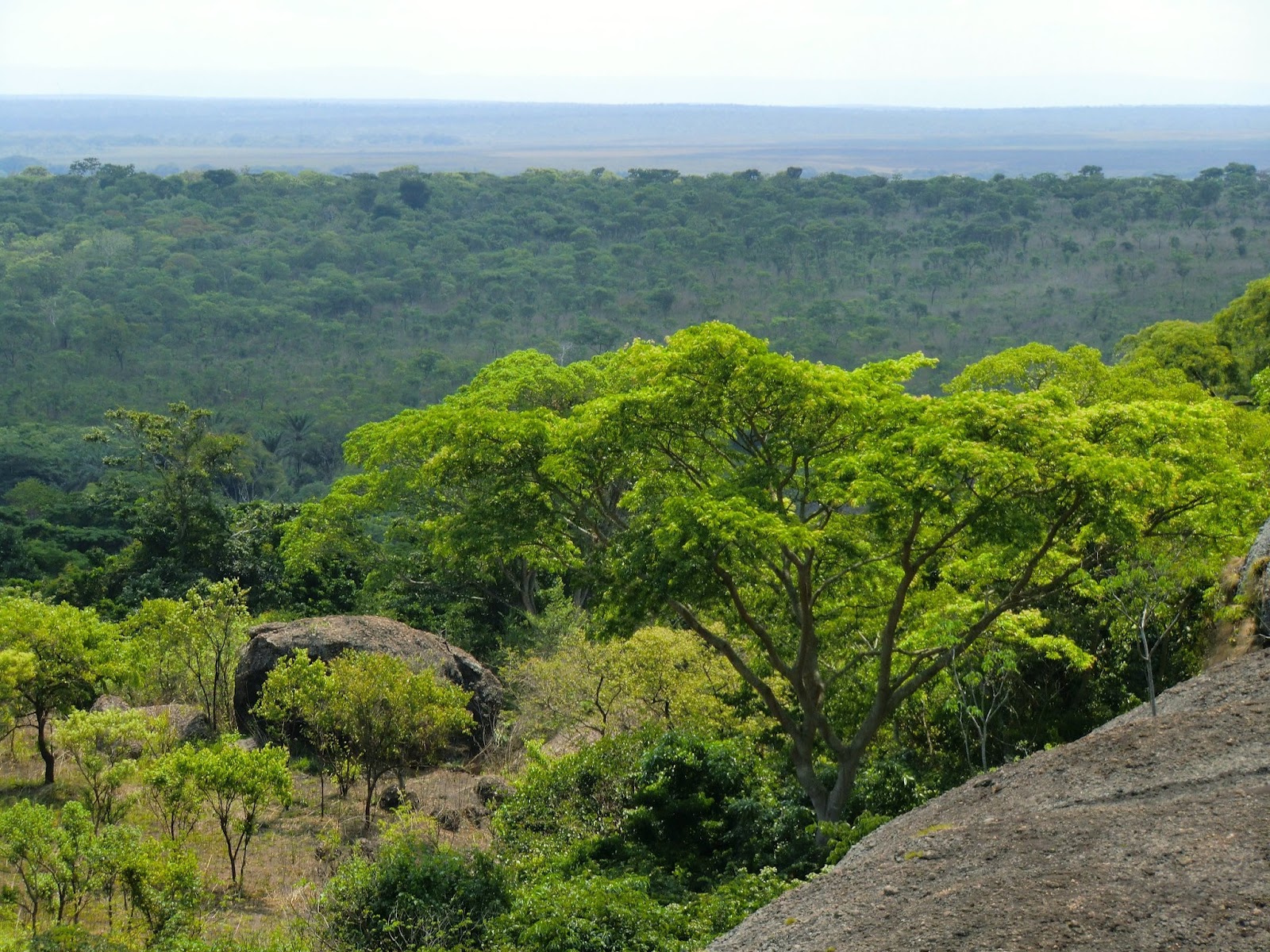 Beauty, Poverty Blend In Luanda, Angola - Youth Journalism International