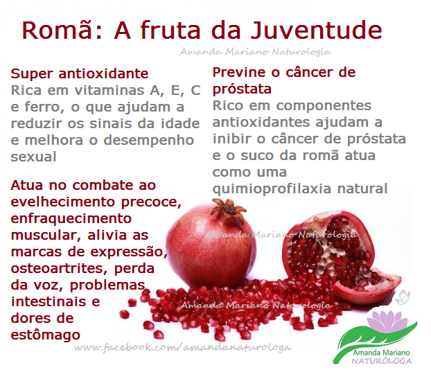 Curiosidades agroecológicas - Romã você não pode deixar de ter um pé em ...