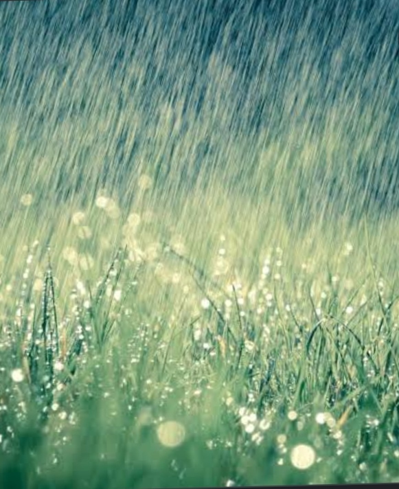 Rainfall And It's Types