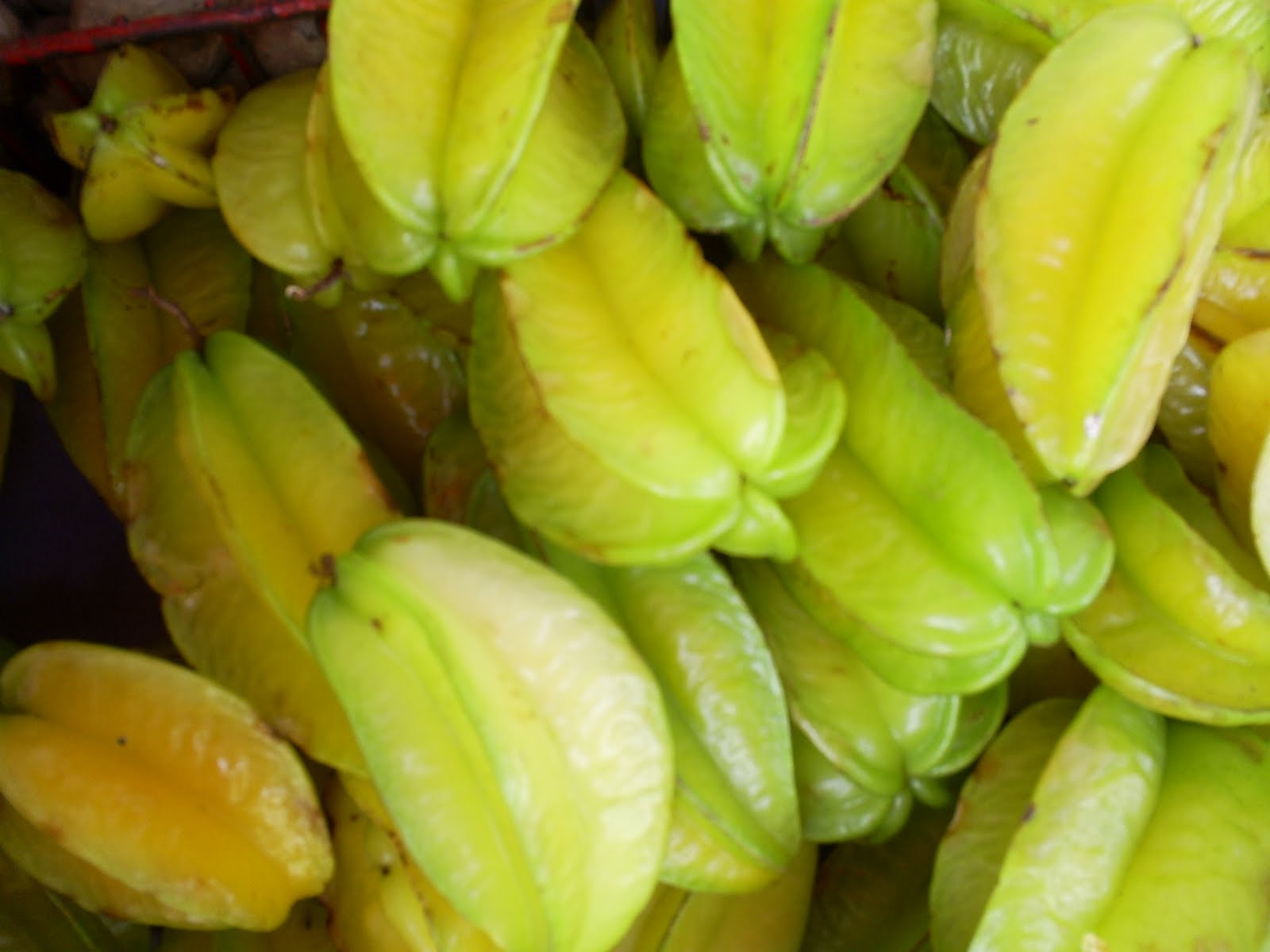 Sabor y Cultura de Brasil: ¡Carambolo!