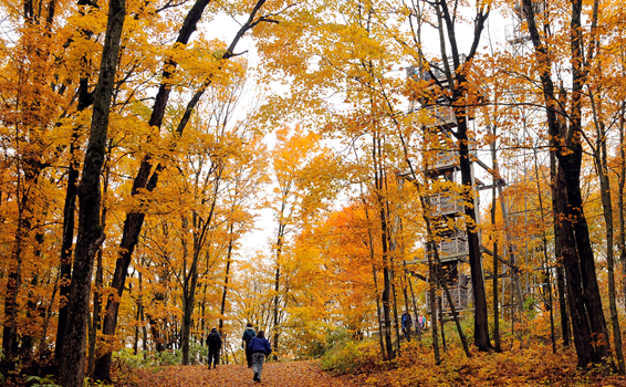 Day Hiking Trails: Trail heads to Wisconsin’s highest point